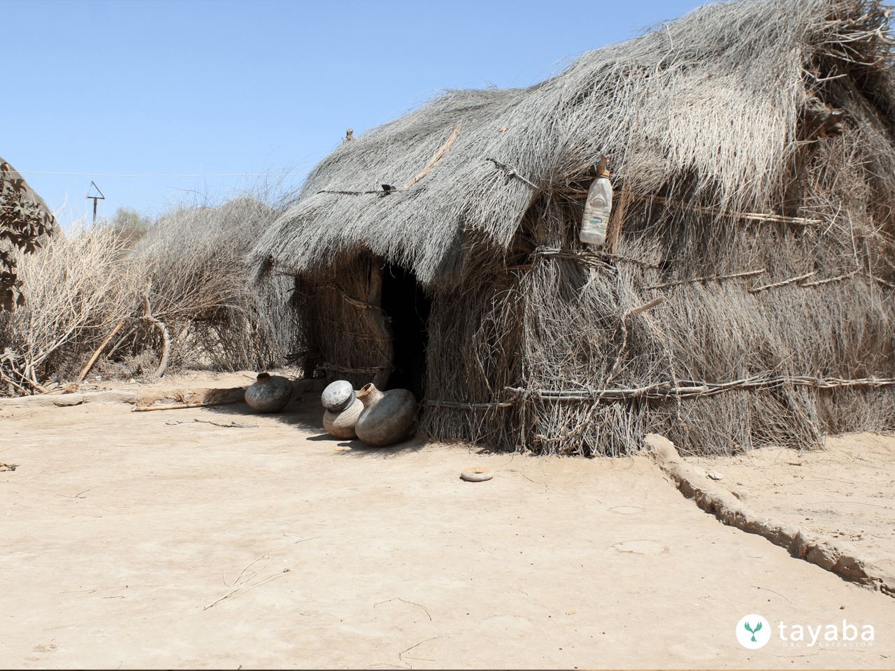 Tharparkar: A Story of Water Lockers? | Tayaba Organisation