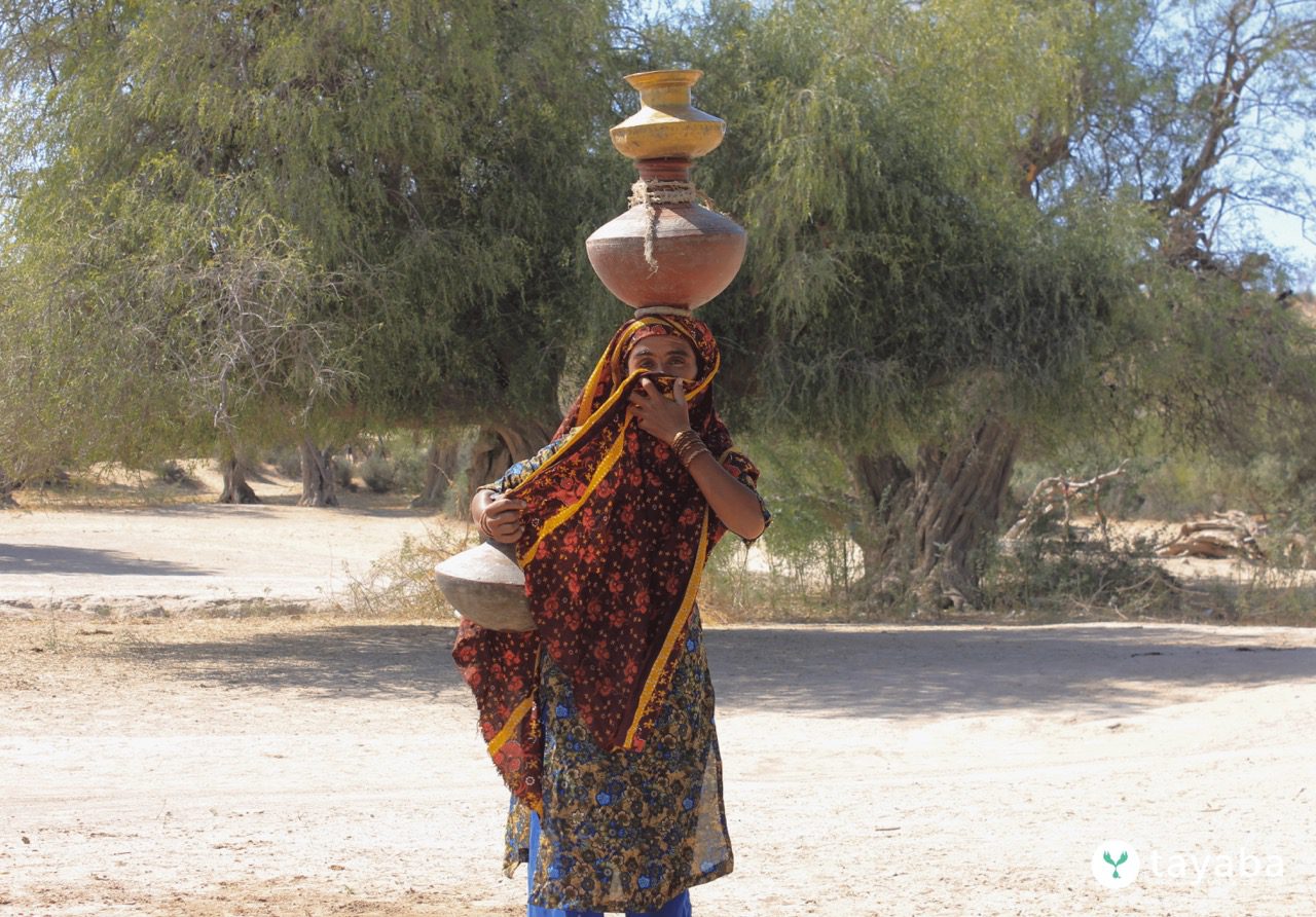 The Lives of Water Wives | Tayaba Organisation