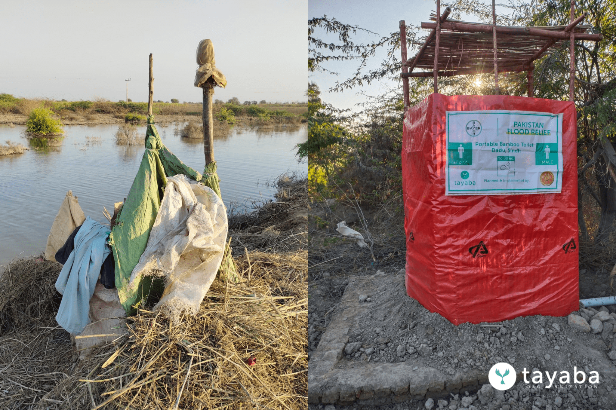 Home | Tayaba Organisation